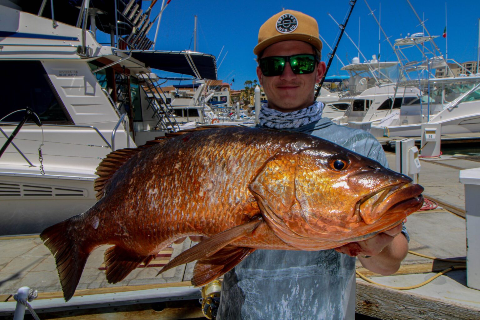 Cabo's Hidden Treasure: Pursuing Cubera Snapper with Blue Sky Cabo ...