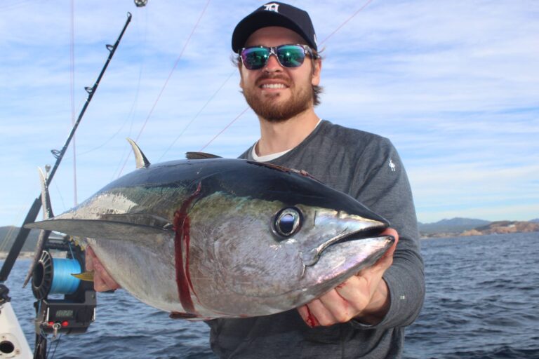 Tuna Fishing in Cabo San Lucas - Fishing Cabo San Lucas