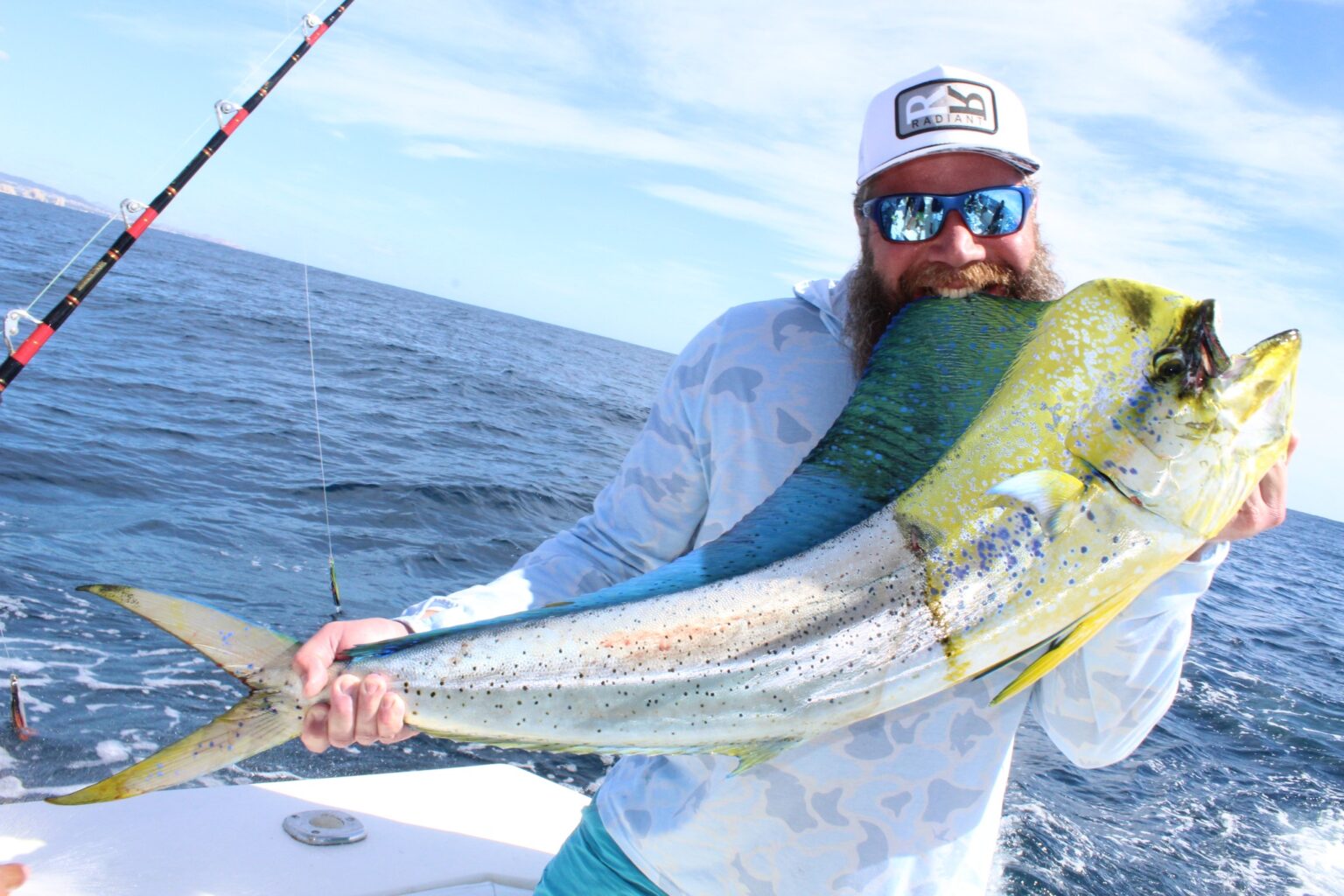 Los Cabos Fishing Tournaments - Fishing Cabo San Lucas